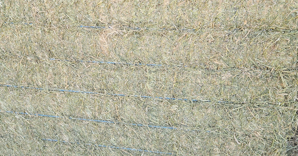 Buy Vetch Hay 89960 in Carisbrook VIC | LocalAg