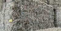 Buy Awnless Equine Quality Barley Hay 89780 in Corowa NSW | LocalAg