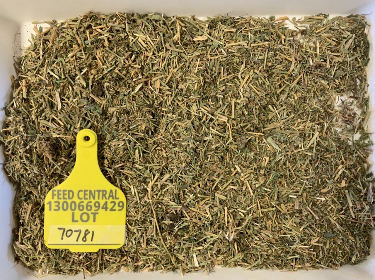 Buy Lucerne Hay 70781 in Maryvale NSW | LocalAg