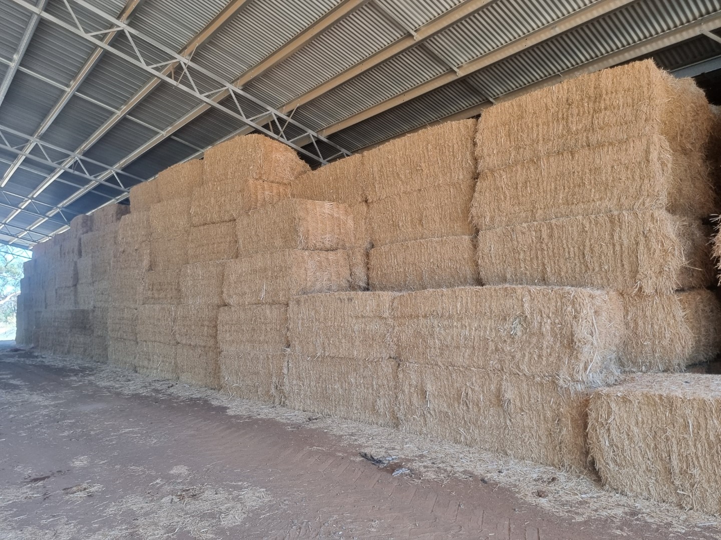 Buy Canola Hay in Baradine NSW 78062