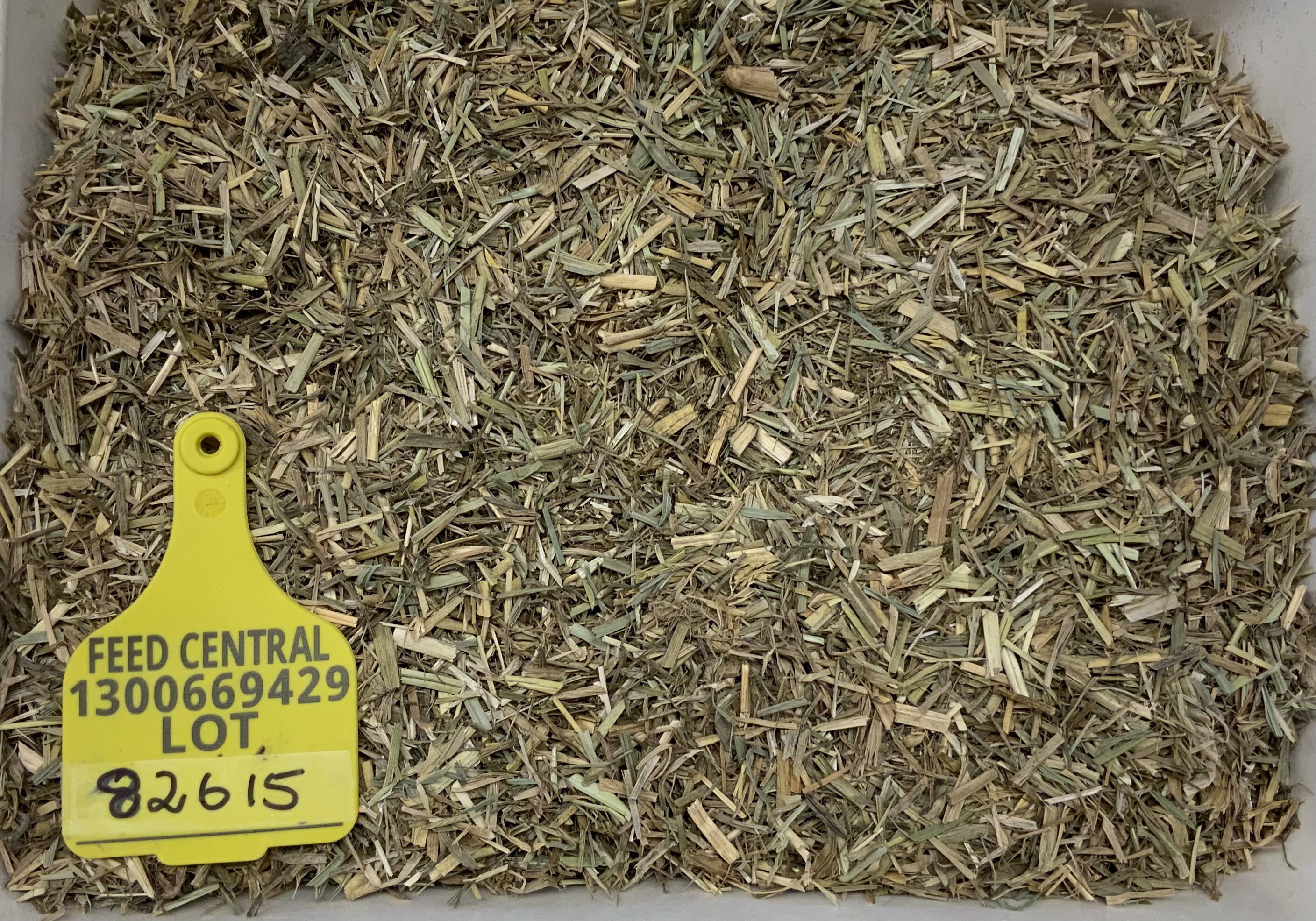 Buy Rhodes Grass Hay 82615 in St George QLD | LocalAg