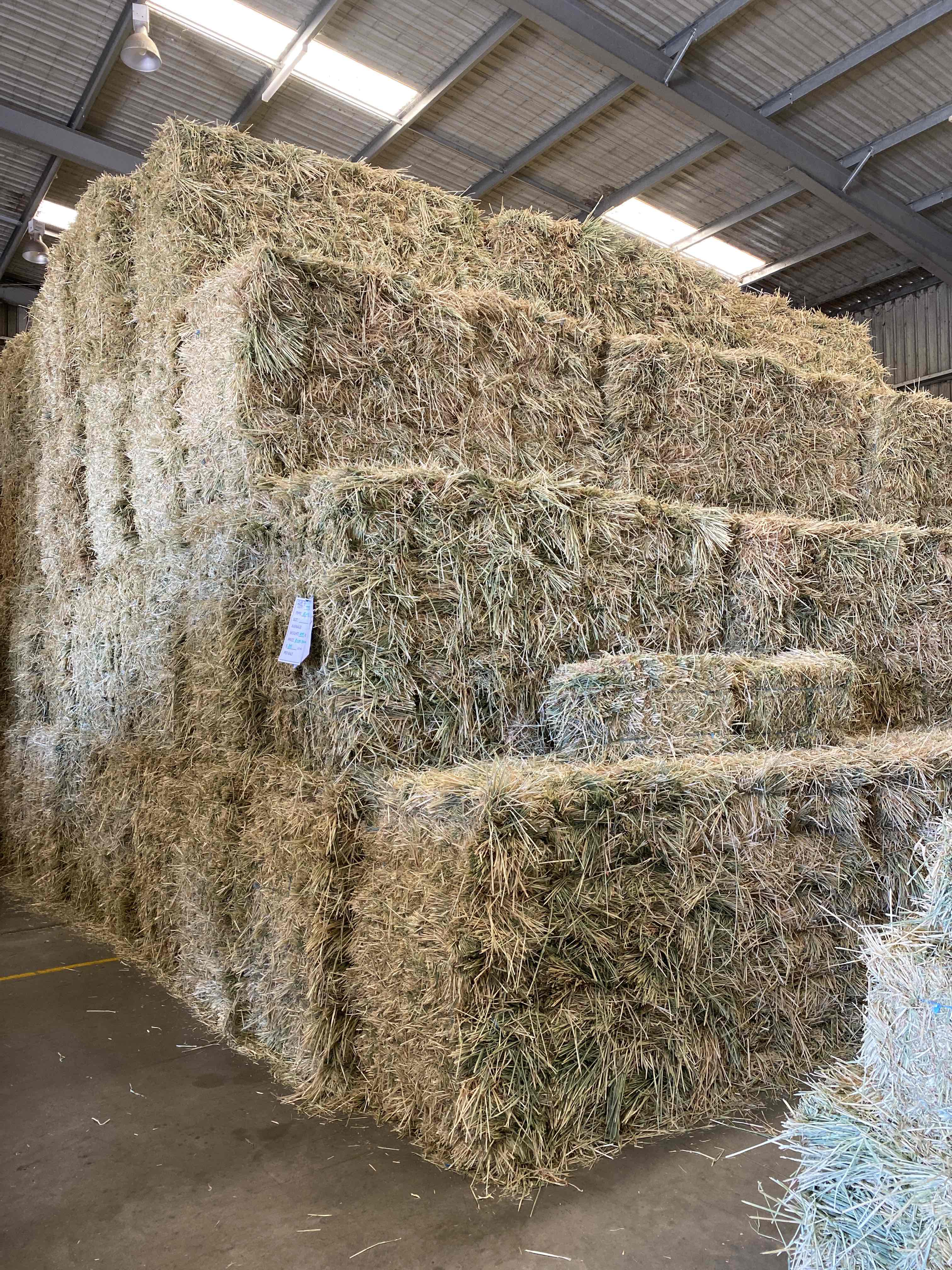 Buy Equine Quality Barley Hay 77763 in Charlton QLD | LocalAg