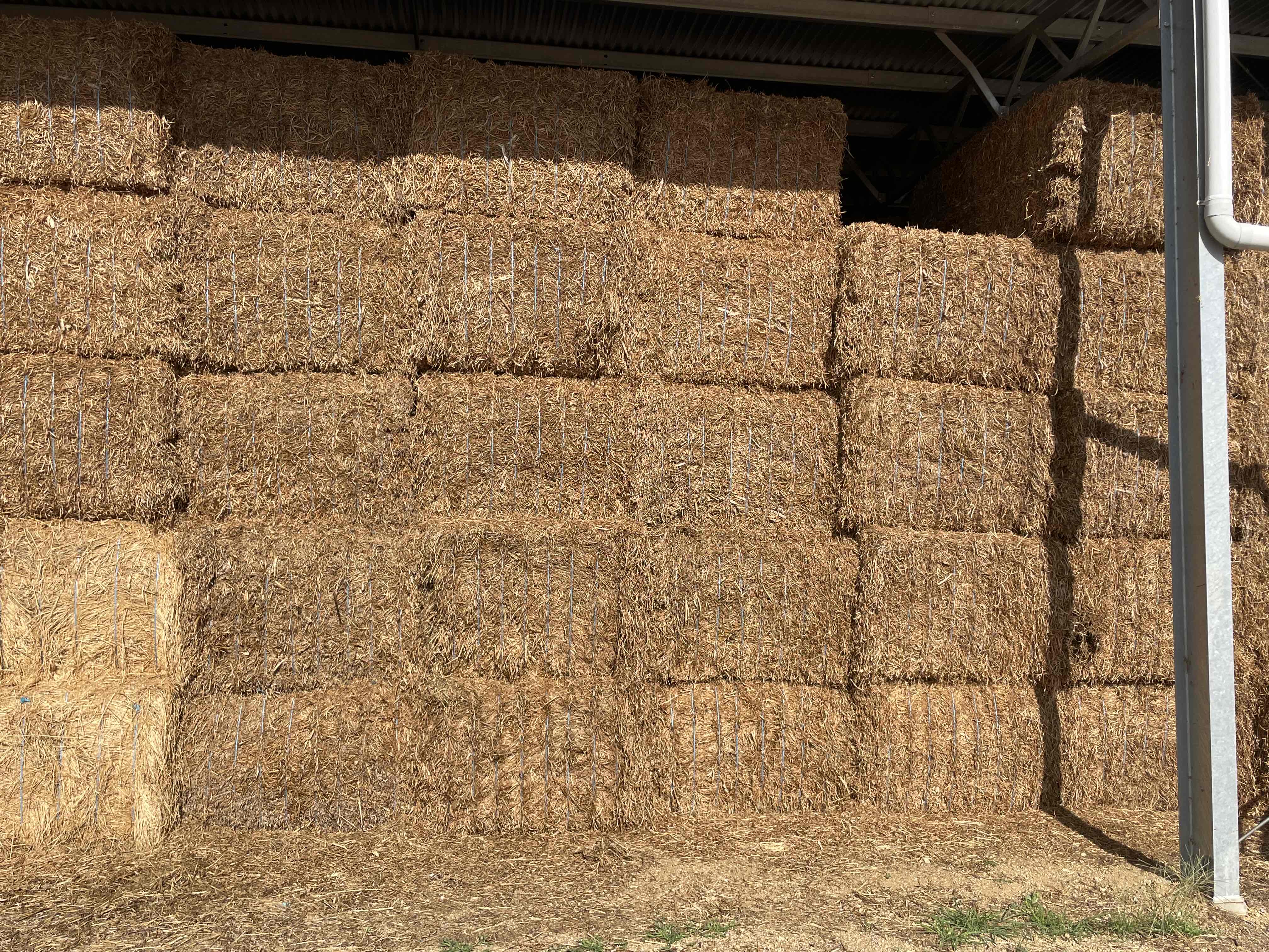 Buy Vetch Hay 86630 in Tomingley NSW | LocalAg