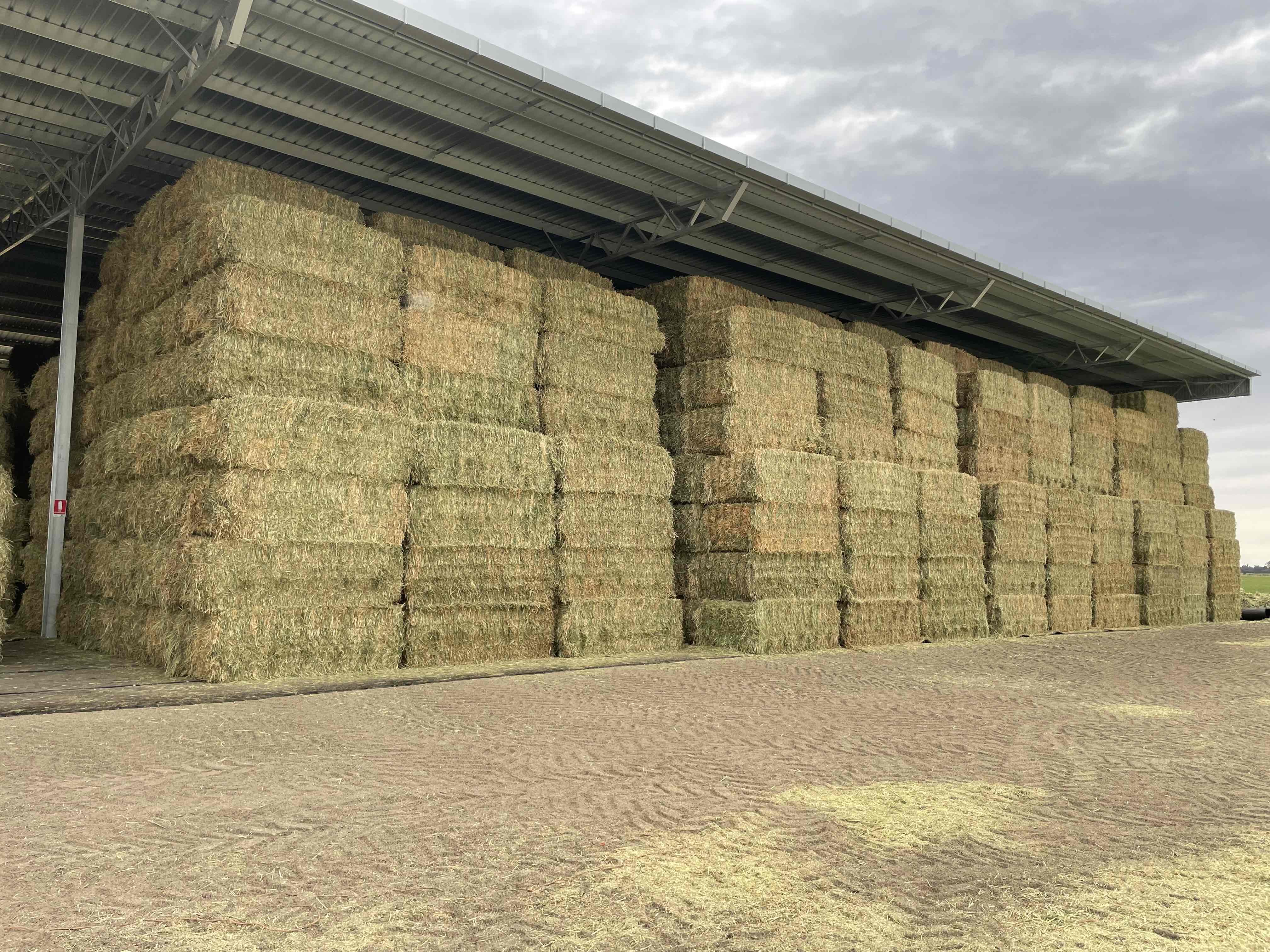 Buy Oaten Hay 89782 in Caldwell NSW | LocalAg