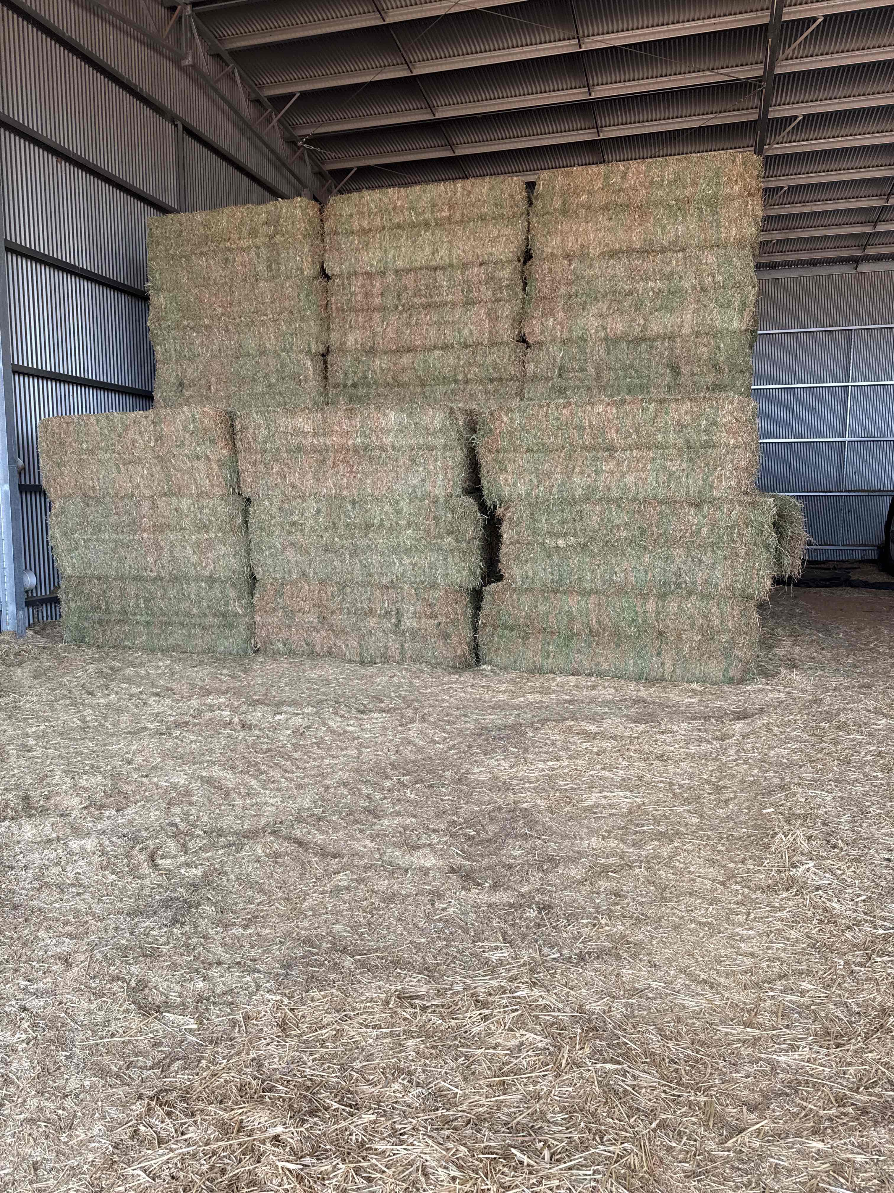 Buy Vetch Hay 89962 in Wycheproof VIC | LocalAg
