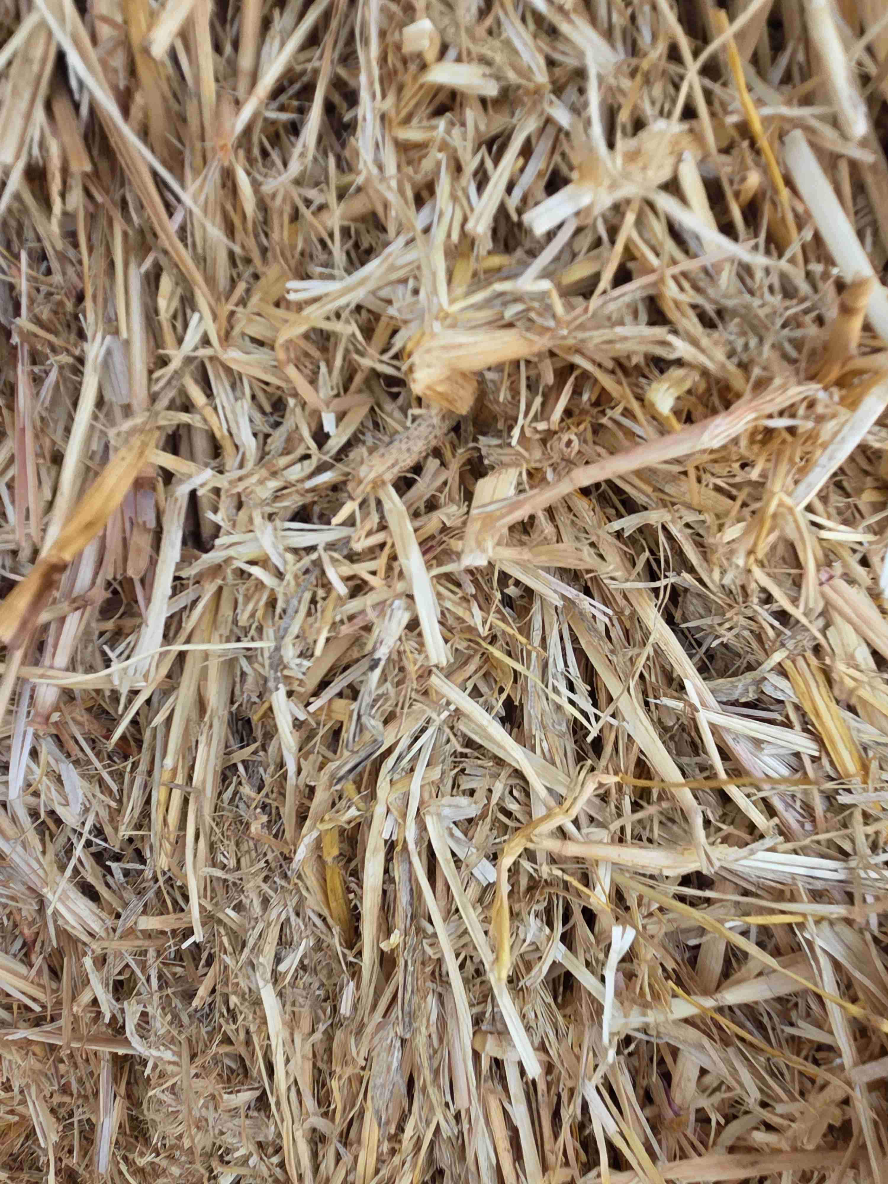 Buy Barley Straw / Stubble 90411 in Warren NSW | LocalAg