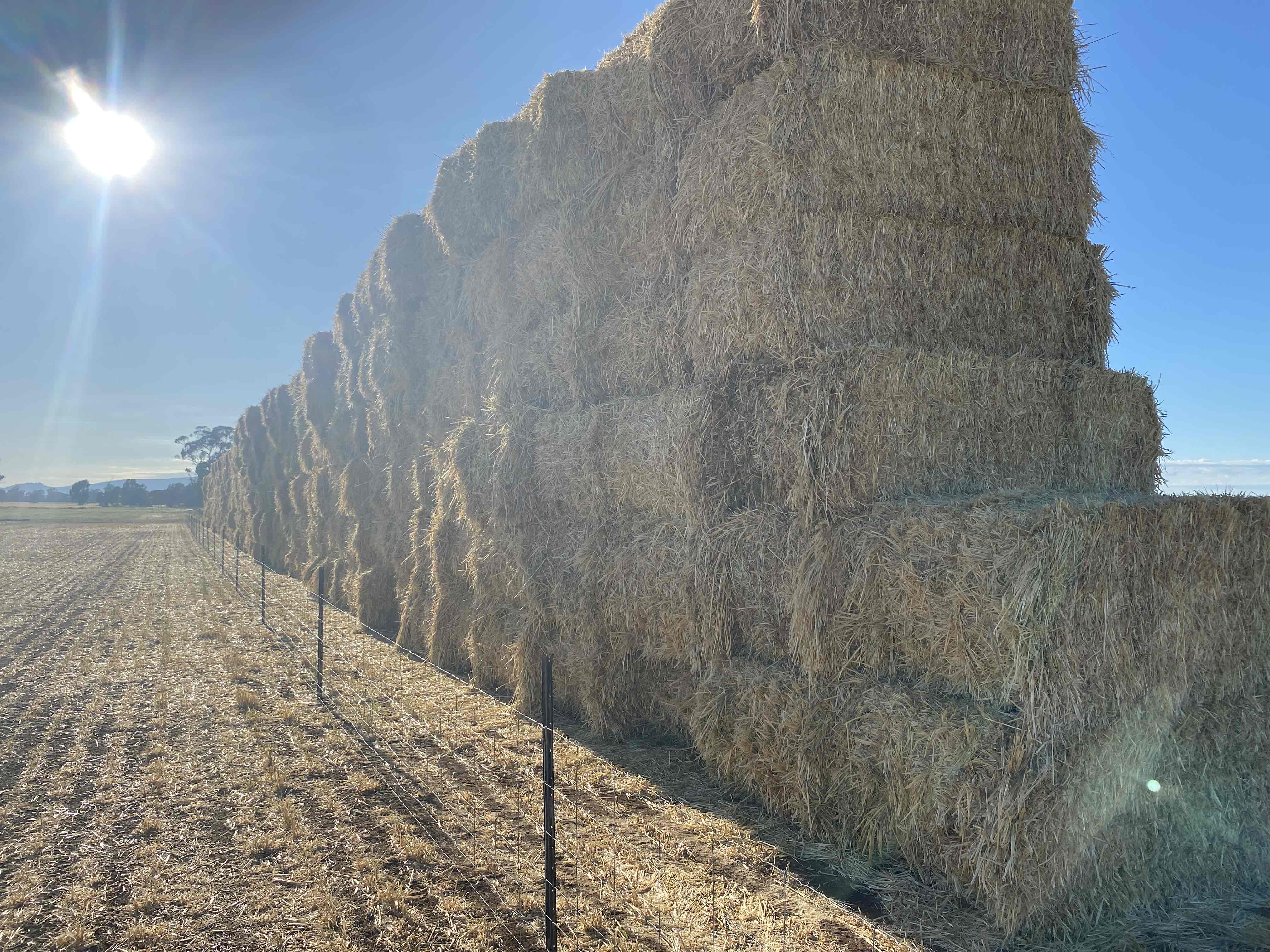 Buy Oaten Hay 91436 in Yerong Creek NSW | LocalAg