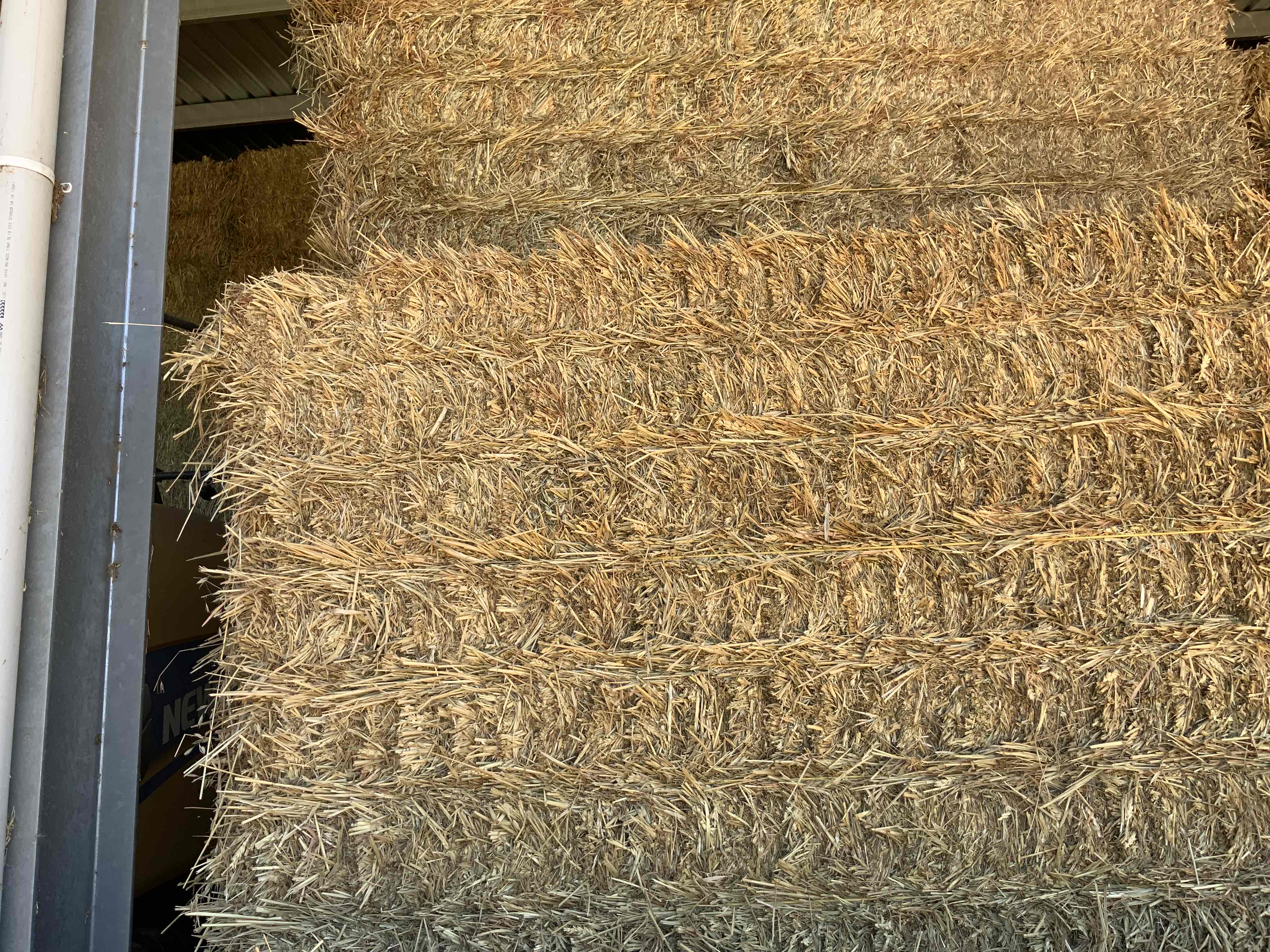 Buy Wheaten (no beard/awn) Hay 90296 in Billimari NSW | LocalAg