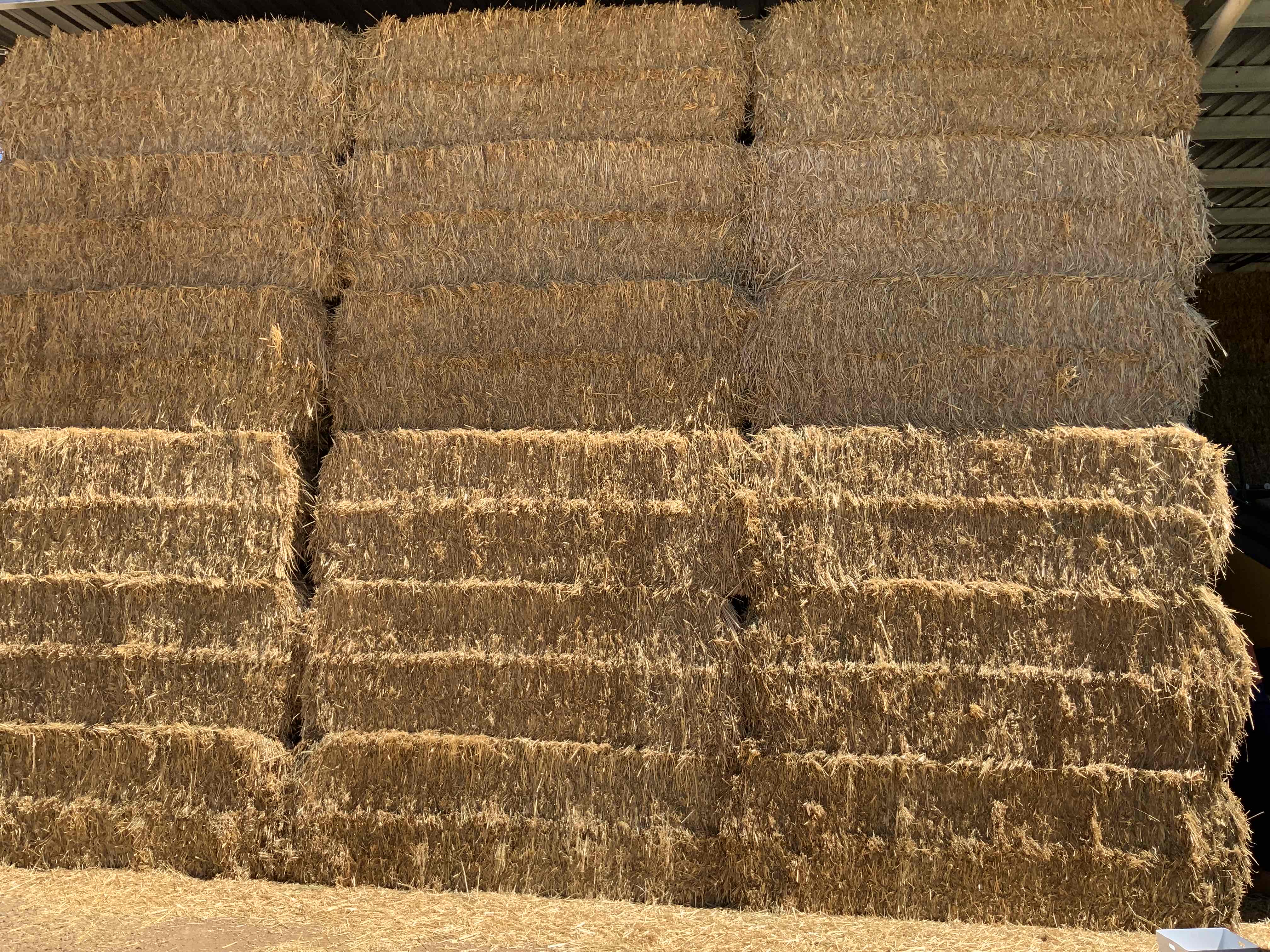Buy Oaten Hay 90273 in Billimari NSW | LocalAg