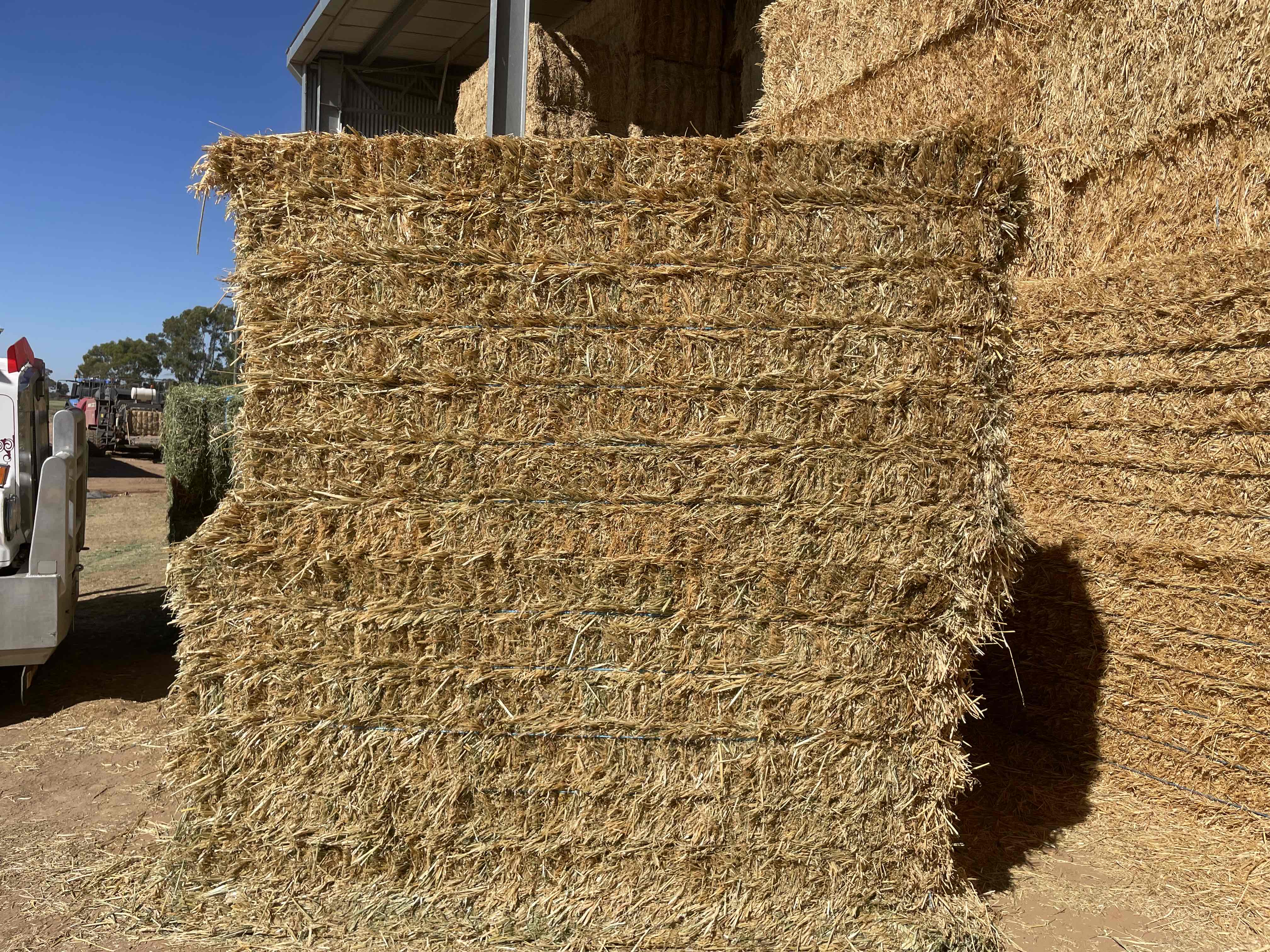 Buy Oaten Hay 90773 in Berrigan NSW | LocalAg