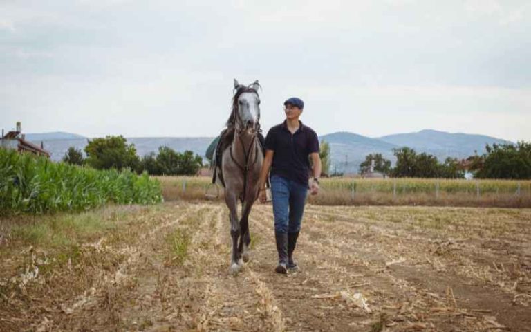 Everything You Need to Know About Potassium & Horses